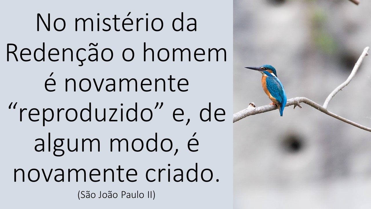 A Mão da Vida: No mistério da Redenção