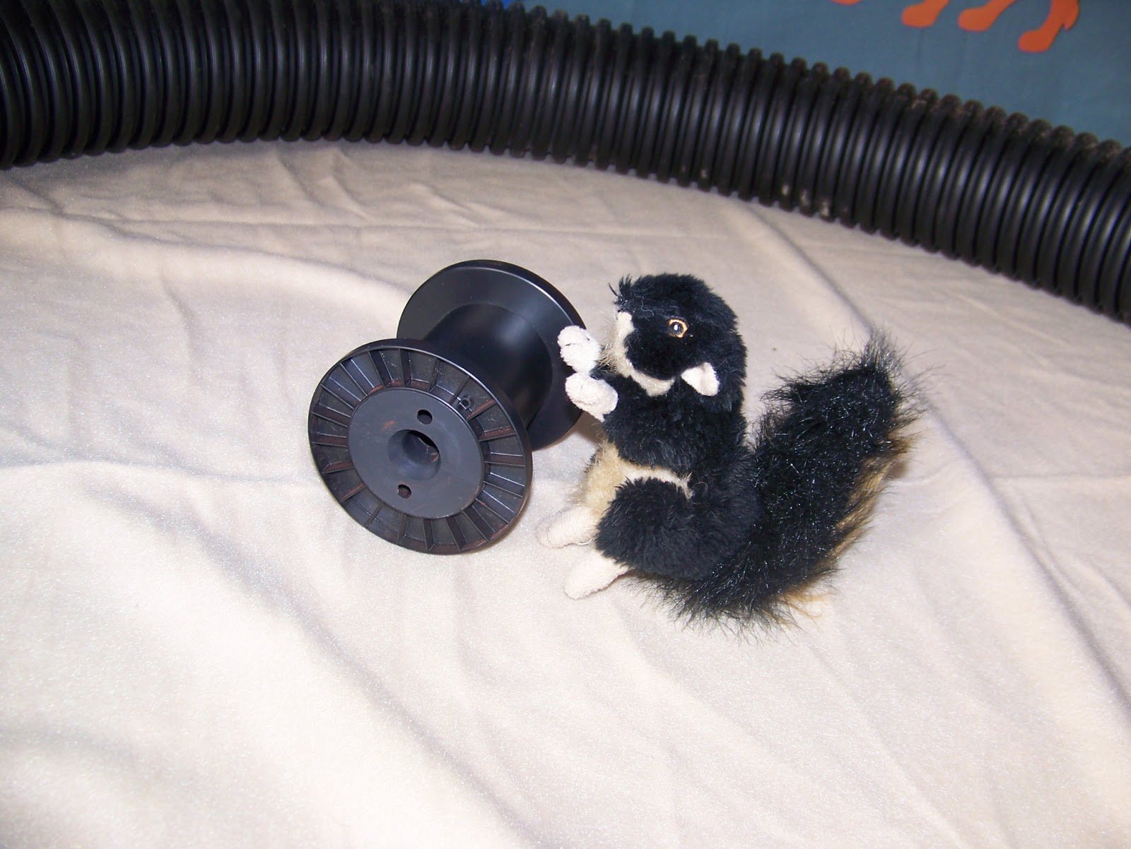 FRANKly and ERNESTly Speaking: STUFFIE TAMERS....Circus SIDE Show #1