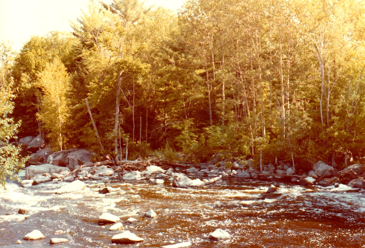 Toys and Stuff: Ed's Travelogue: Hayman Falls, Hayman Falls County Park ...