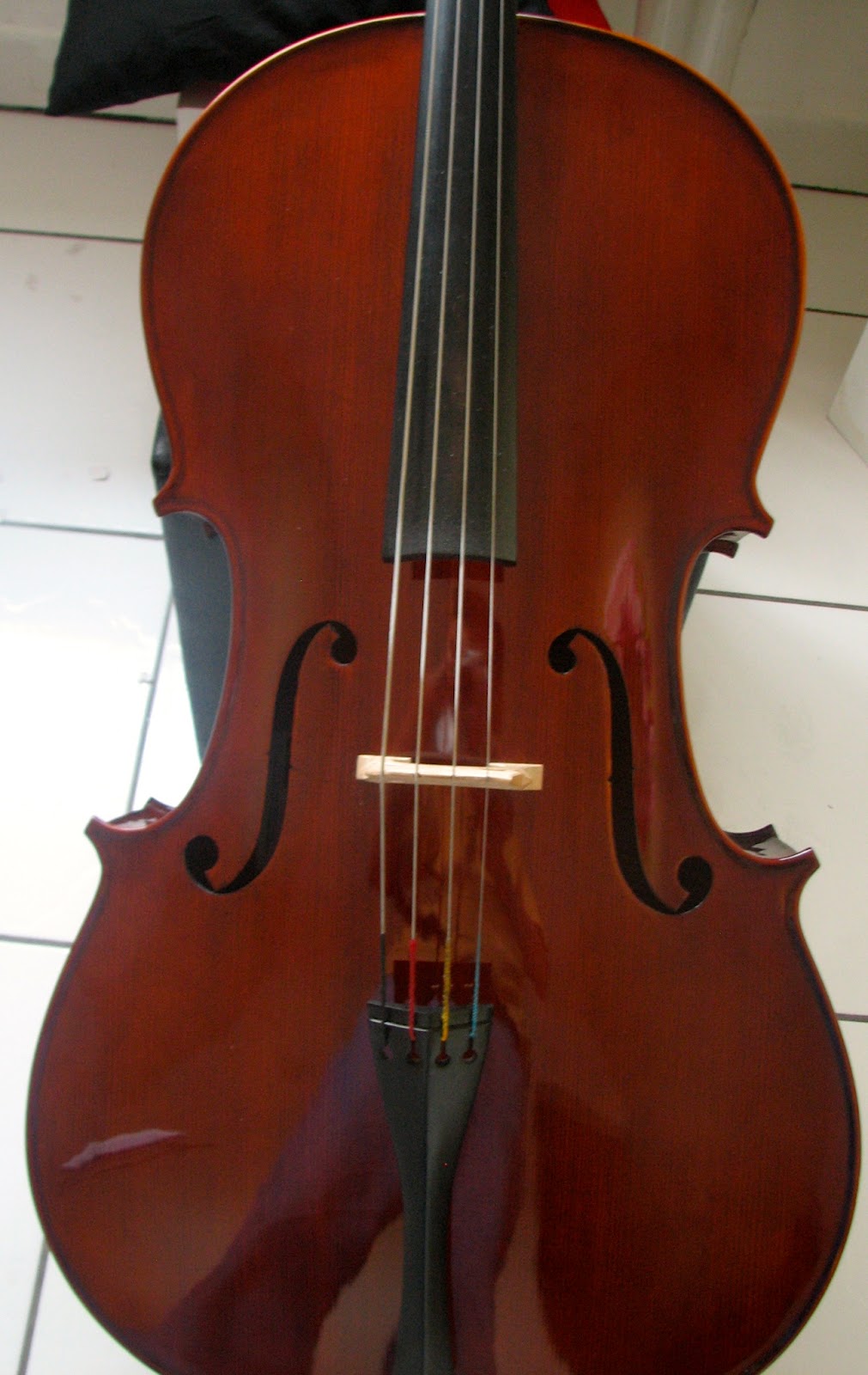 Violoncelo ou Cello: "Partes do Violoncelo | Suas funções"