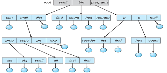 Directory Structure ~ ashrafedu