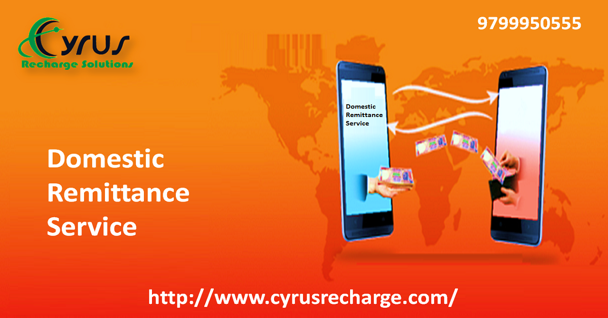 Domestic Money Transfer Solutions