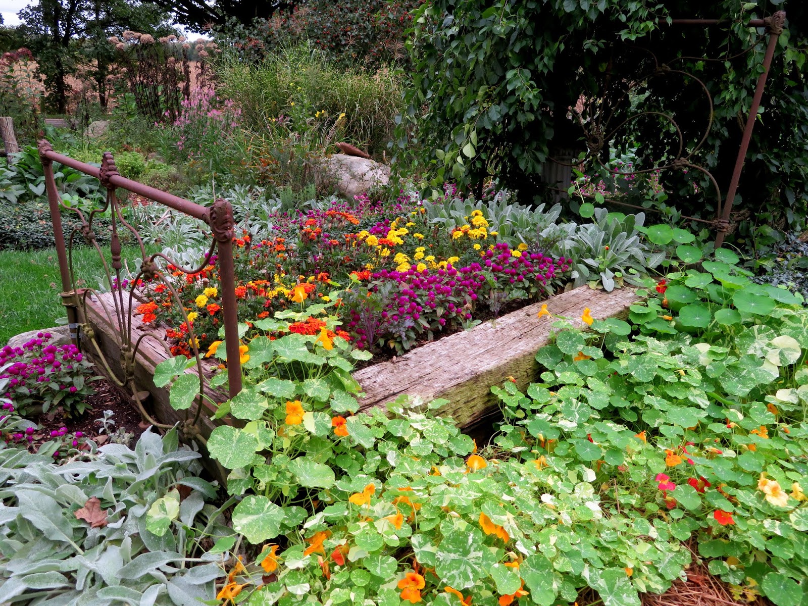 The Marmelade Gypsy: Southern Exposure: Hops and Bittersweet Swag