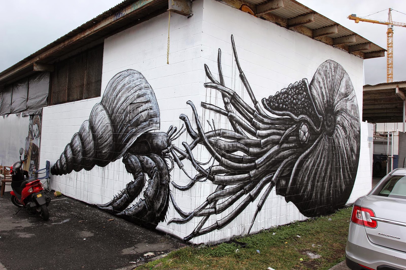 Pow! Wow! 15: ROA brings a new street piece to Honolulu – StreetArtNews