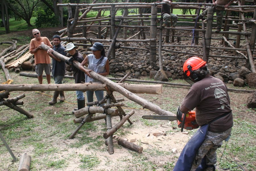 To Kauai: Hale construction 1