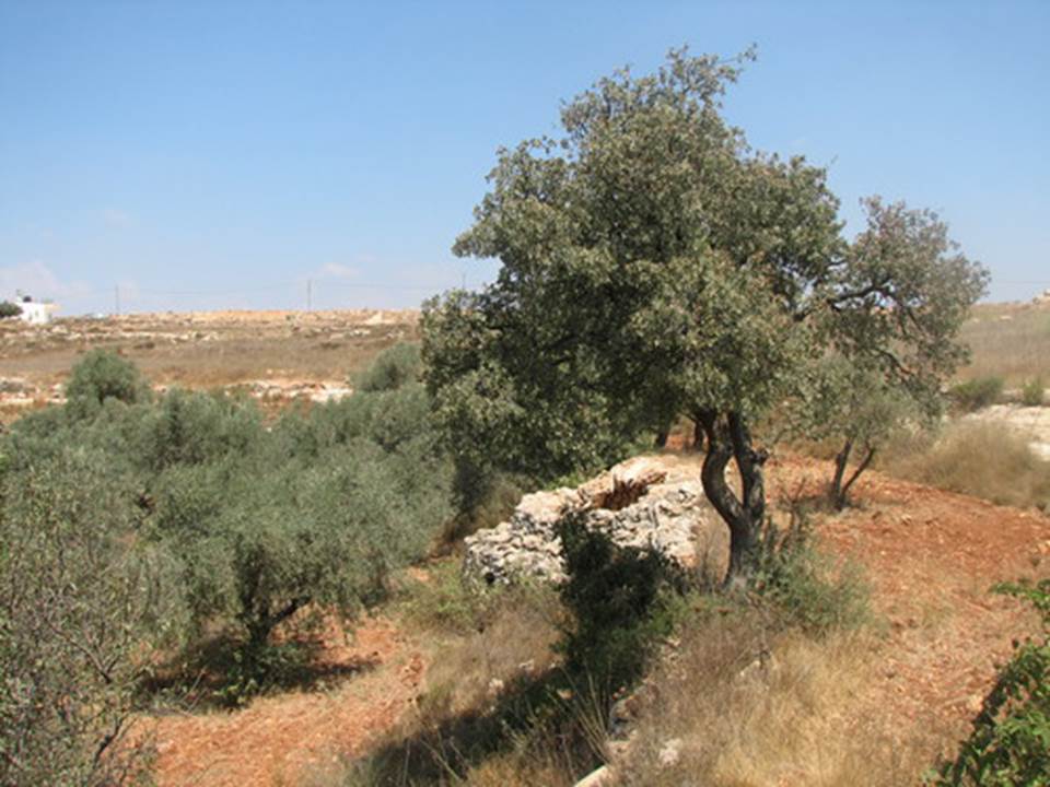 Adalia Helena: FOTOS DA CIDADE DE BETEL EM ISRAEL