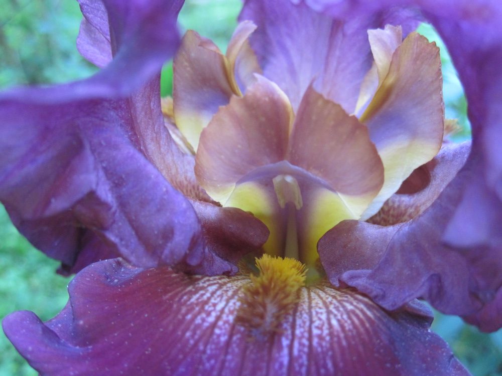 Walter Klingler & Stephen Boydstun : Thursday May 4, 2017 "Rip City ...