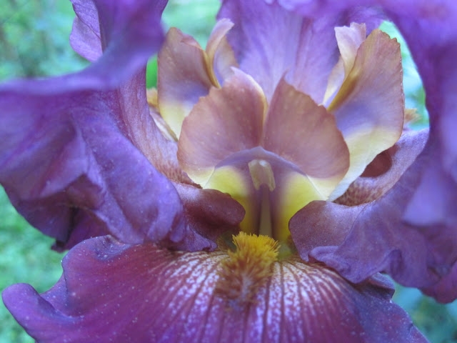 Walter Klingler & Stephen Boydstun : Thursday May 4, 2017 "Rip City ...