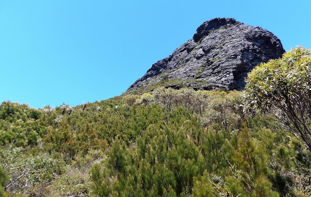 Goin' Feral One Day At A Time: First Arrow Camping Cave to Stirling ...