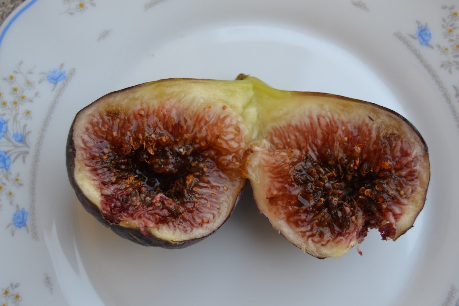 Figo Preto De Torres Novas - Var Tin