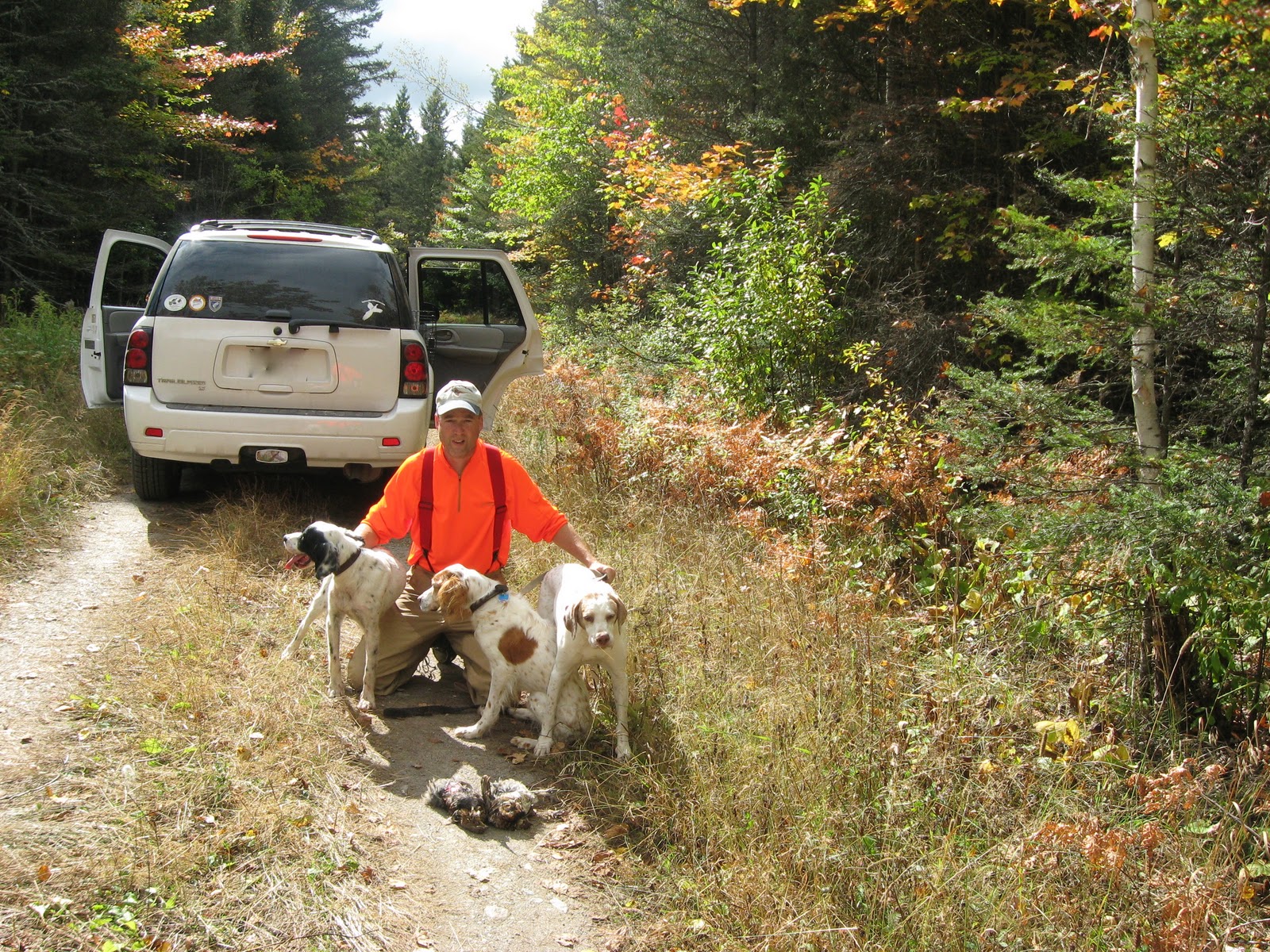 RuffedGrouseHunter.com: Ruffed Grouse Hunt - Ely MN September 25th 2011