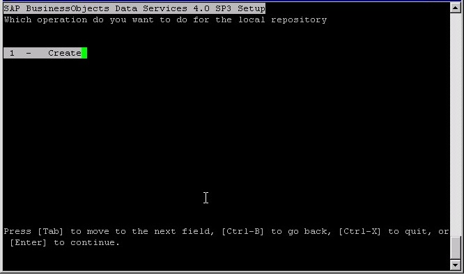 Senthil Rajendran's Blog: SAP BO and DS with Oracle Database Part 4 Installing DS on SUSE Linux