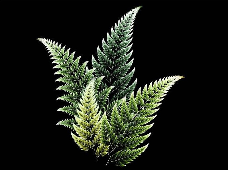 ¿Qué son los fractales? : Bloghotpoint