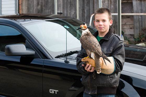 Patrick von Stutenzee's History Blog: Emperor Frederick II: A Model Ruler?