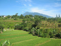 Galeri Photo Griya Sawah Lega Resort