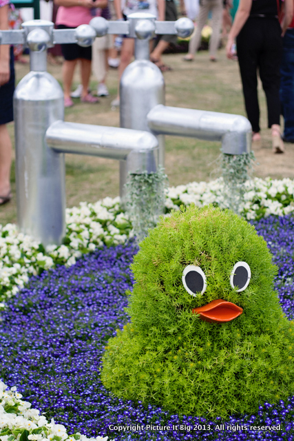 Blog: The RHS Tatton Flower Show - by Cheshire Photographer, Jane ...
