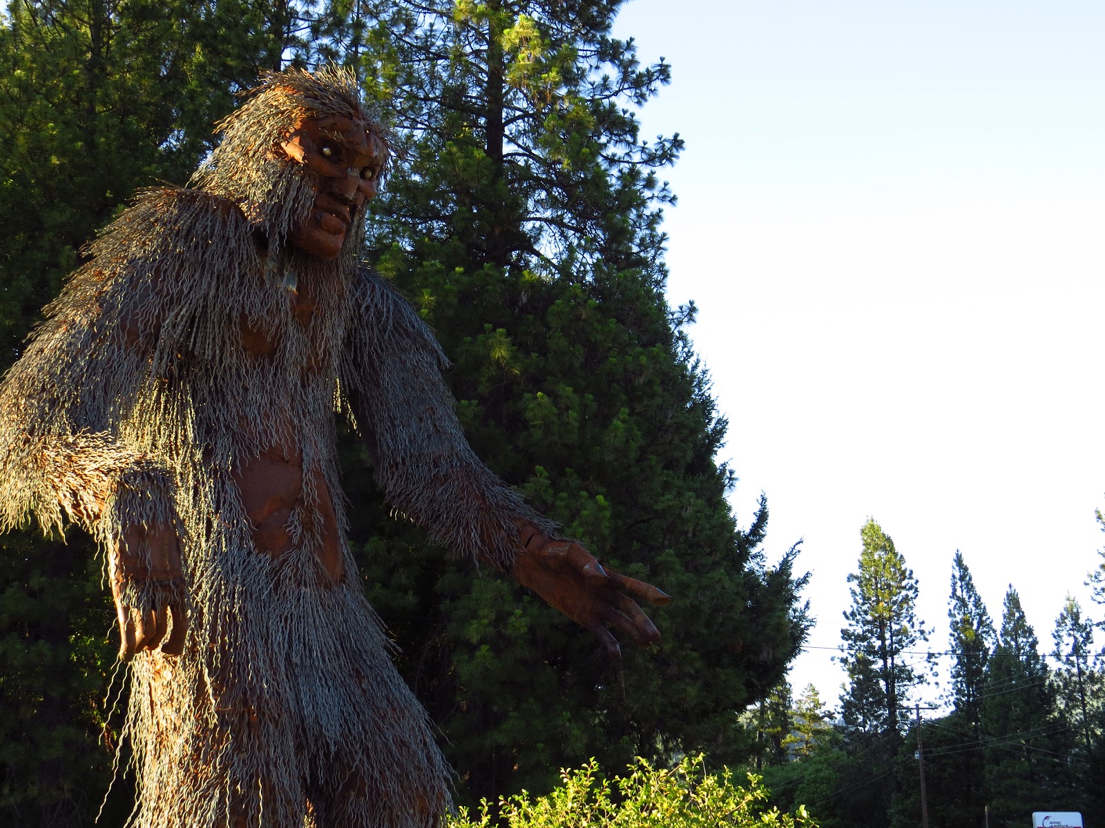RMSO Bigfoot: Top Ten Pacific Northwest Bigfoot Sightings