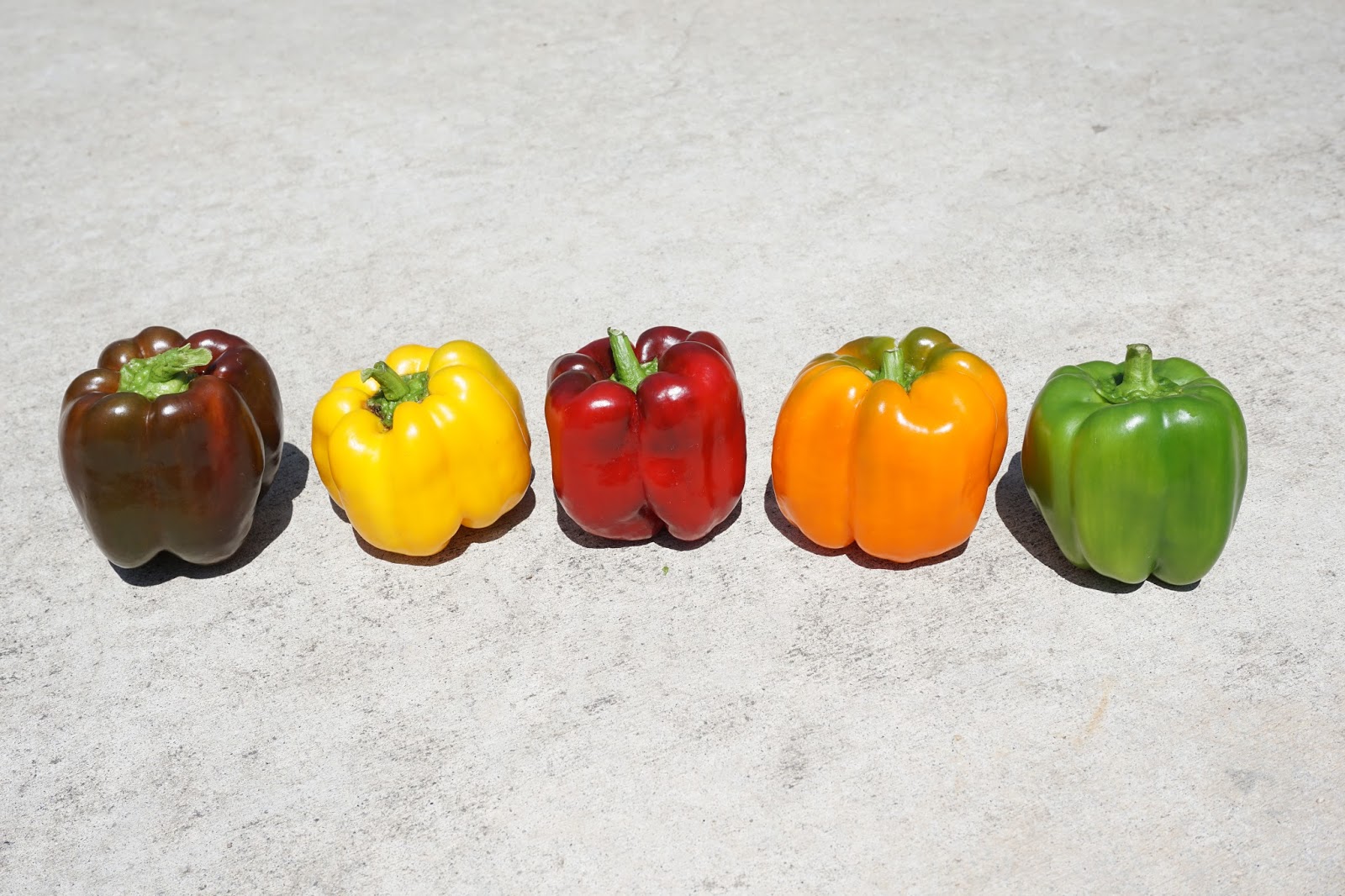 Andie's Way: A Tasty Rainbow of Bell Peppers