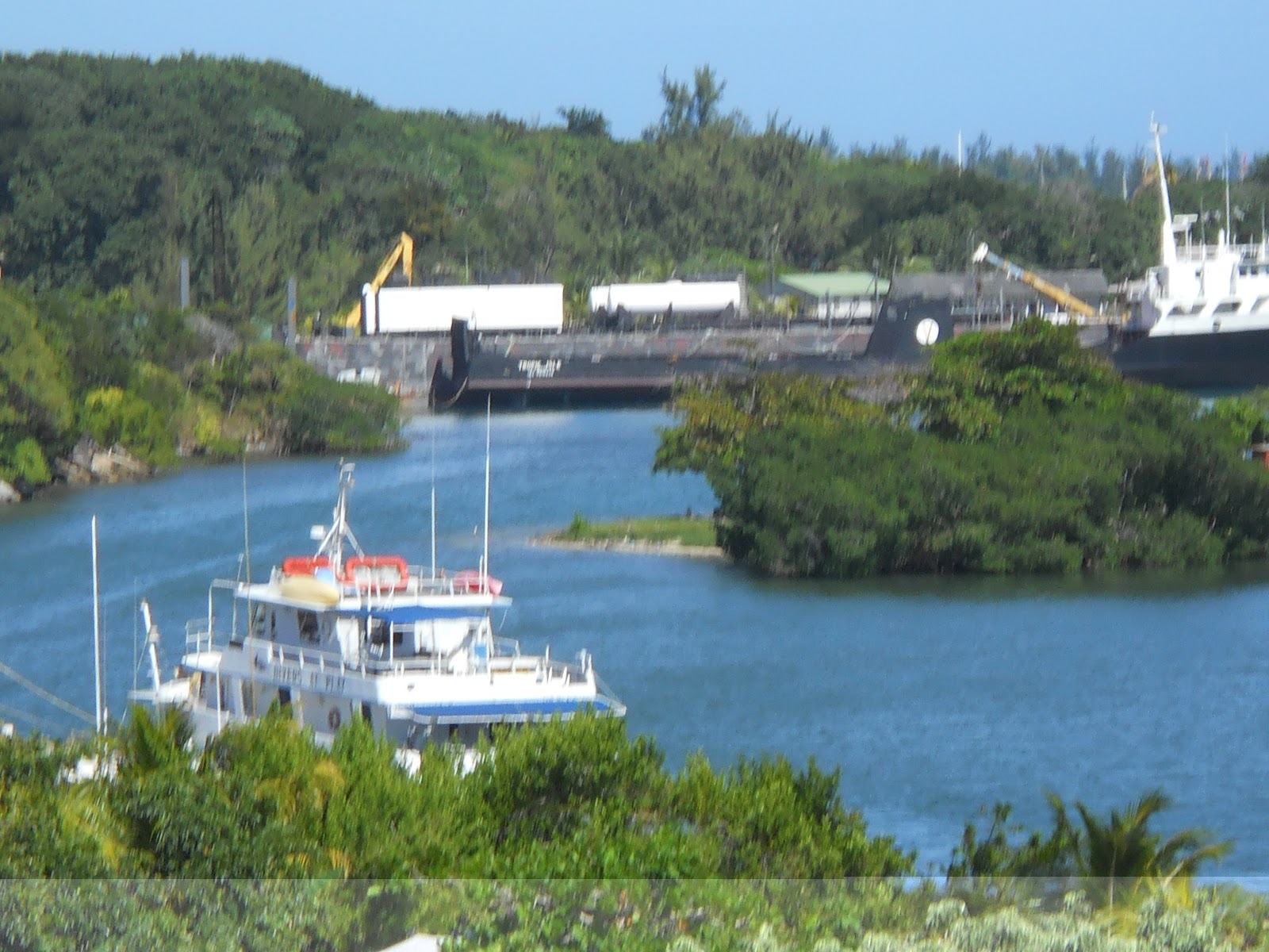 Nancy's Adventures in Roatan