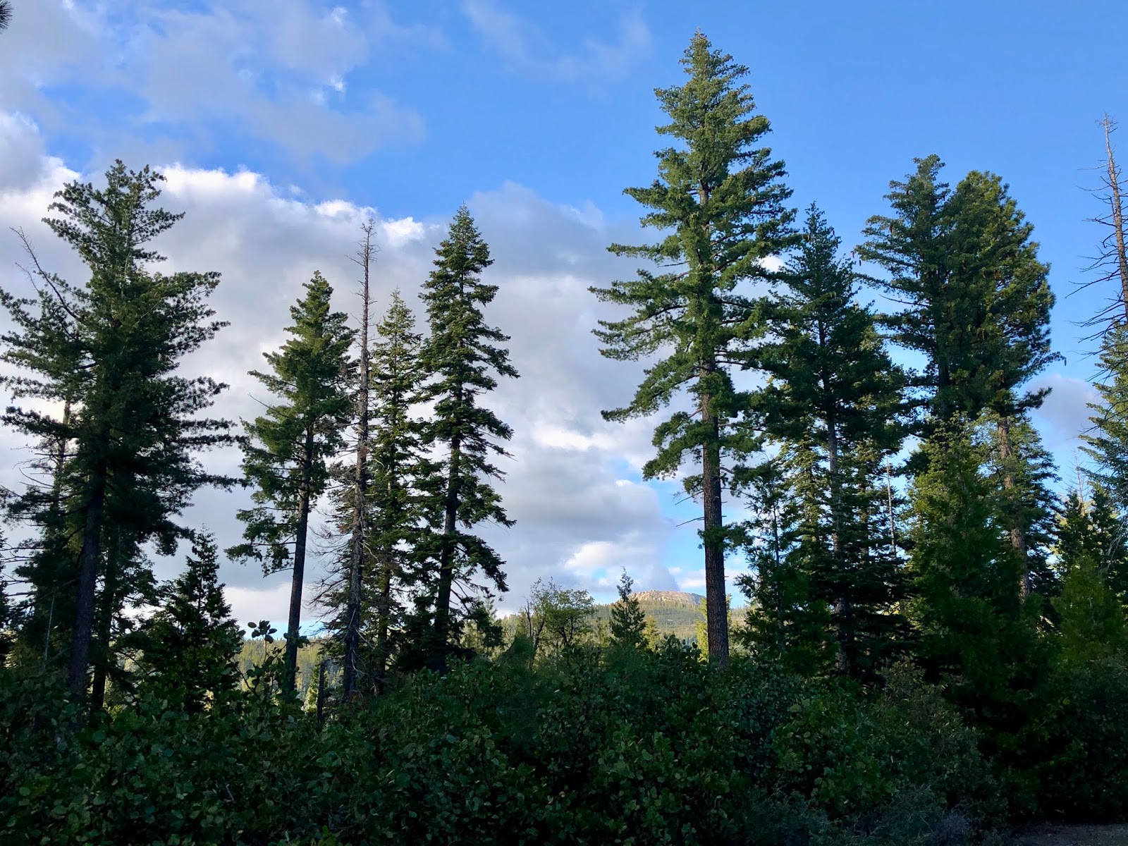 Crystal Basin Boondocking - Memorial Day 2020