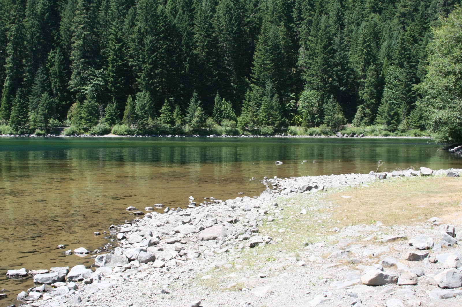 Ronald Borst Journalism: Fishing With Alexa