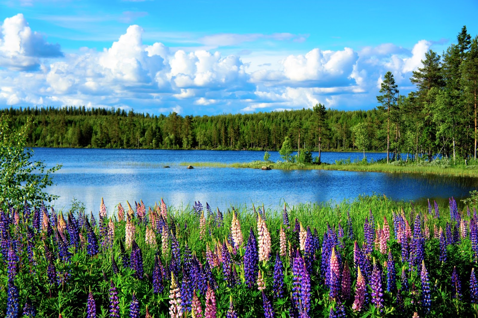 Nonno Franco a Stoccolma: 10 motivi per venire in Svezia