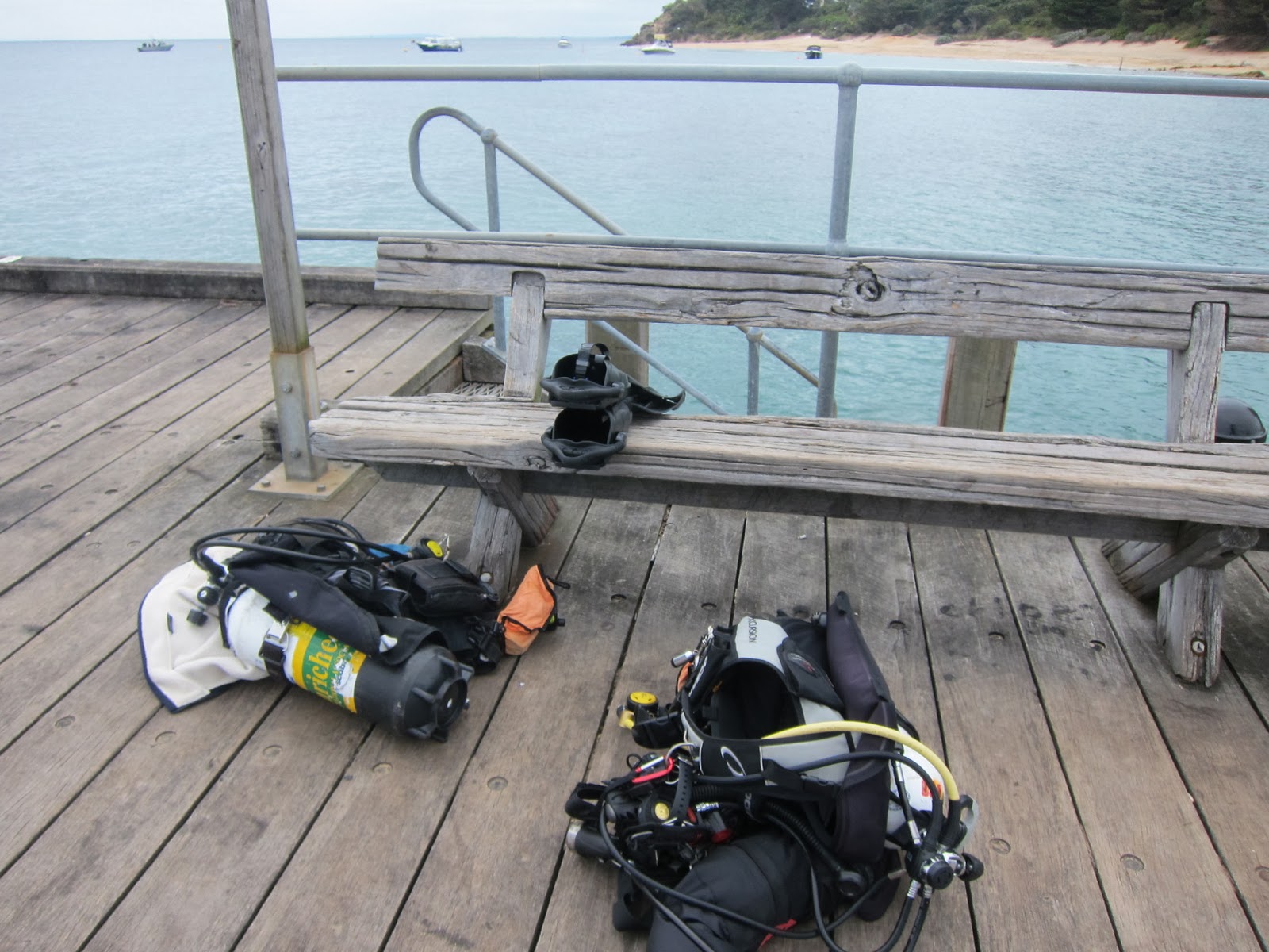 Diving: Scallop Dive
