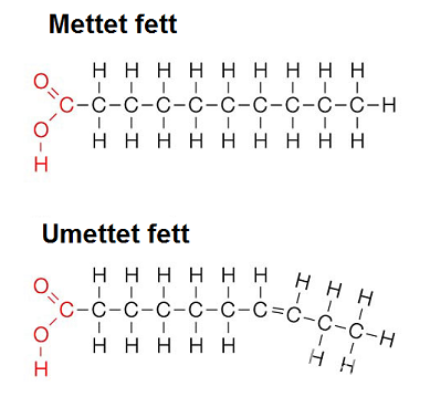 Ernæring, mat og kultur: Ikkje berre eitt fett!