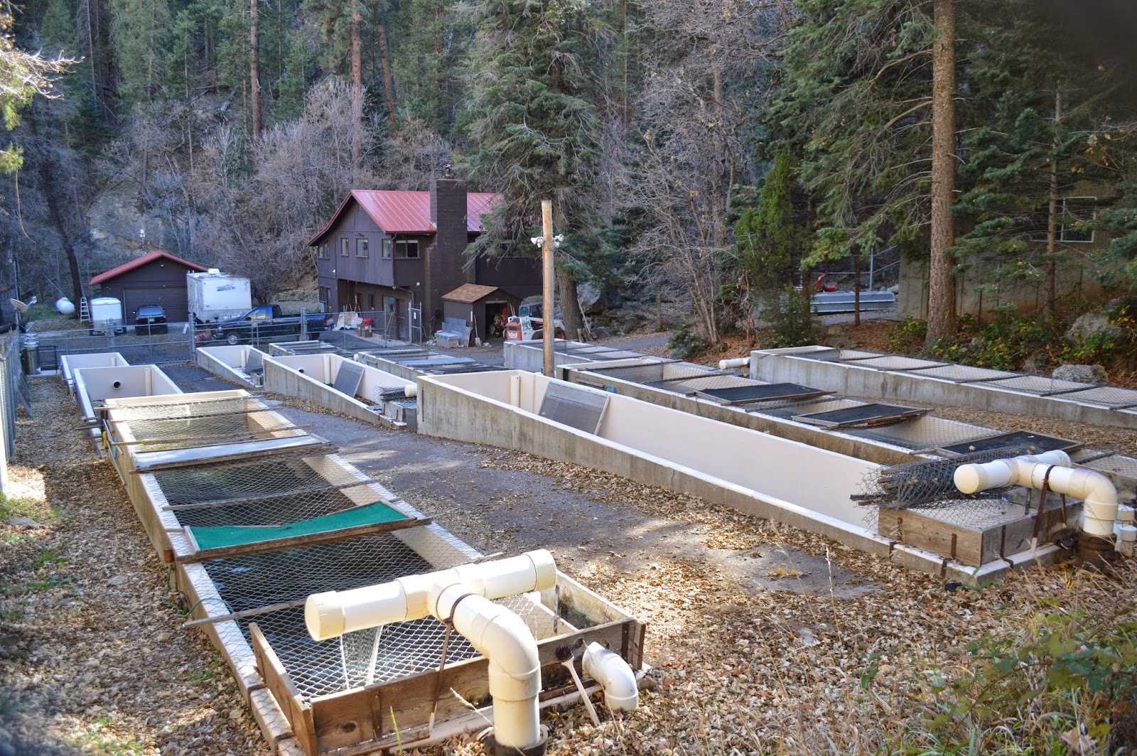 Mark Thomas - Geology: STERLING SPRINGS FISH HATCHERY