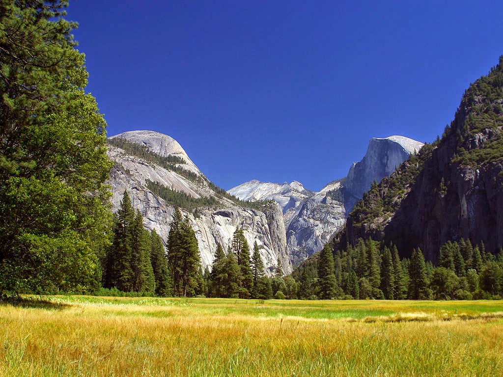 stock photography: Free Stock Photo High Resolution Yosemite Meadows