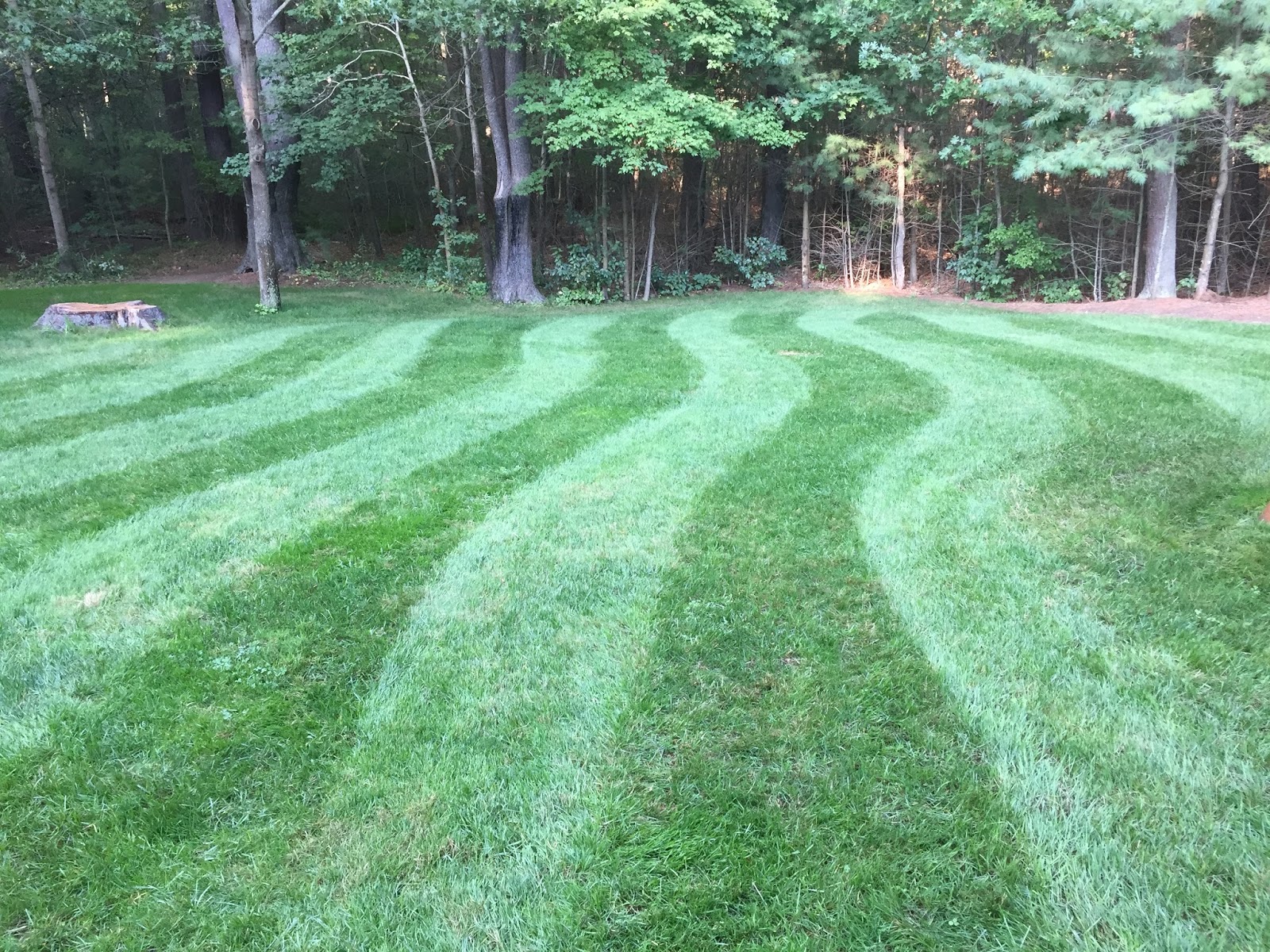 Picking up Nickels: DIY "Golden Striper" Lawn Striper Build