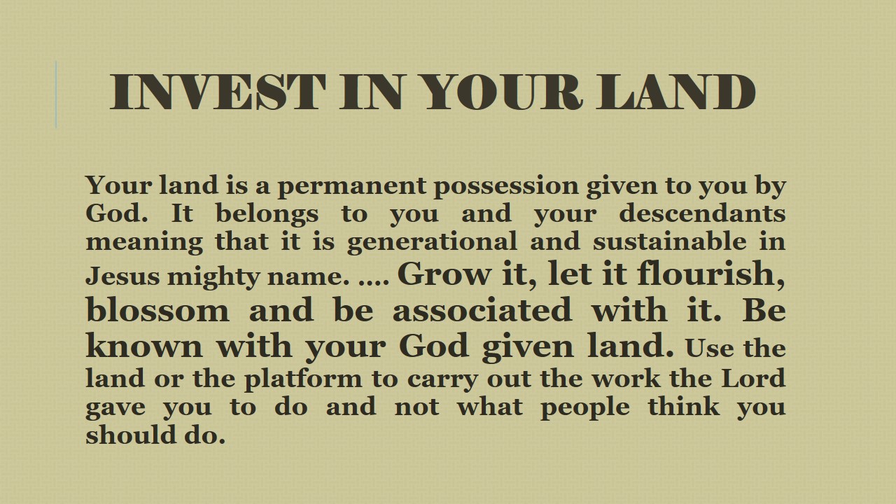 Olives International: Invest in Your Land