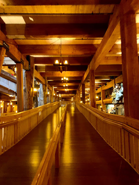 Amy's Creative Pursuits: The Ark Encounter - Inside the Ark