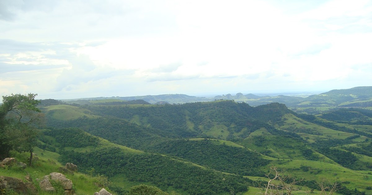 Professora Regina Bolico : Escarpa