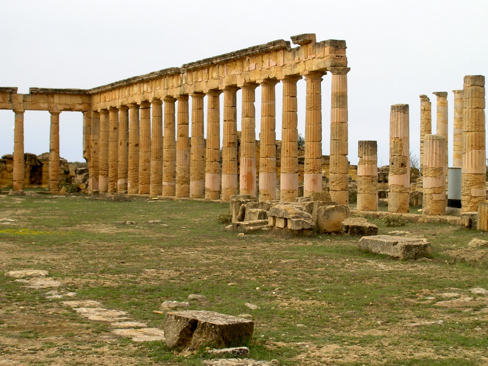 Forever A Pilgrim: Cyrene, Libya