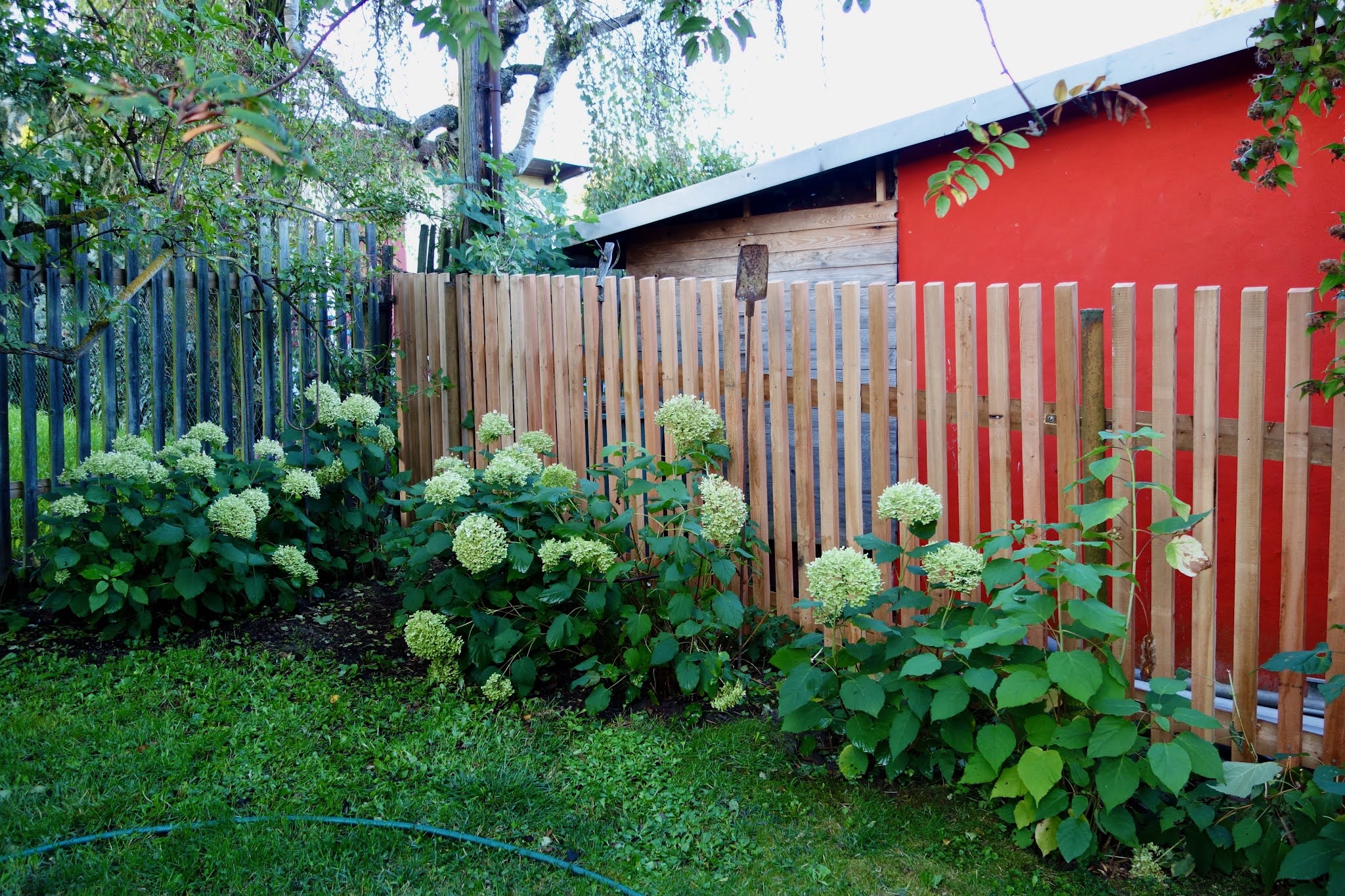 VILLA HILDEGARD: Der neue Zaun