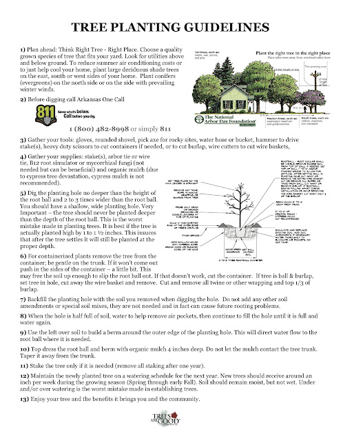 aubunique: October 2011