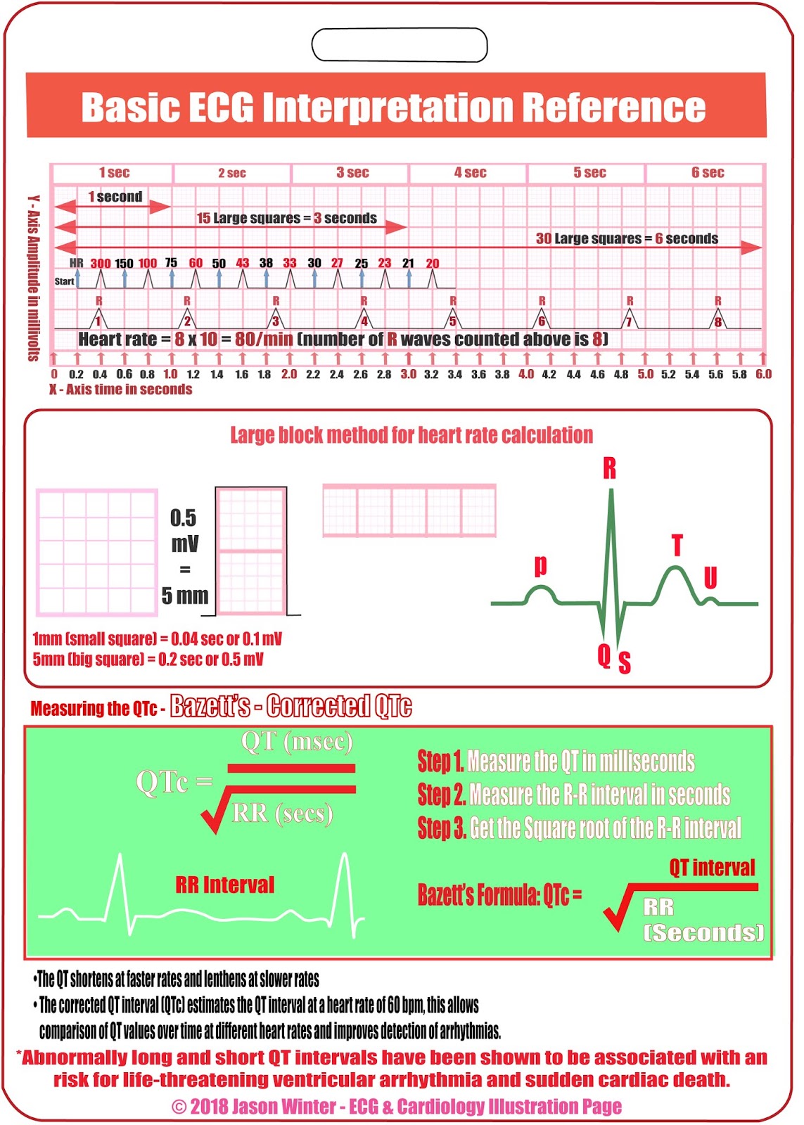 ECG Educator Blog : Basic Electrophysiology