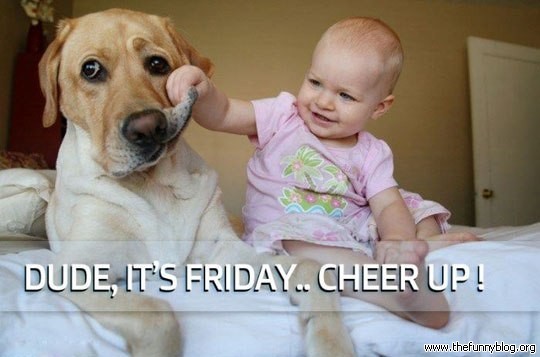 Funny Friday Pictures | funny