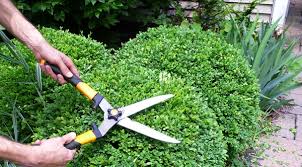 Glass Half Question: A Glass Too Full?: What do you do when your Glass ...