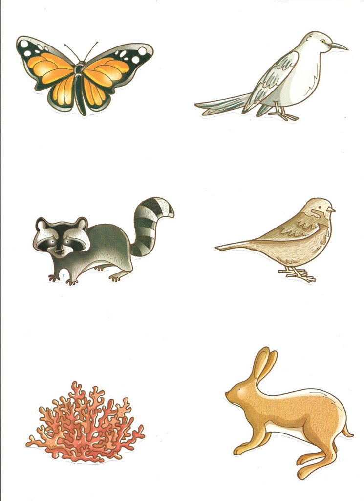 Eduquemos con amor: LAMINAS ANIMALES