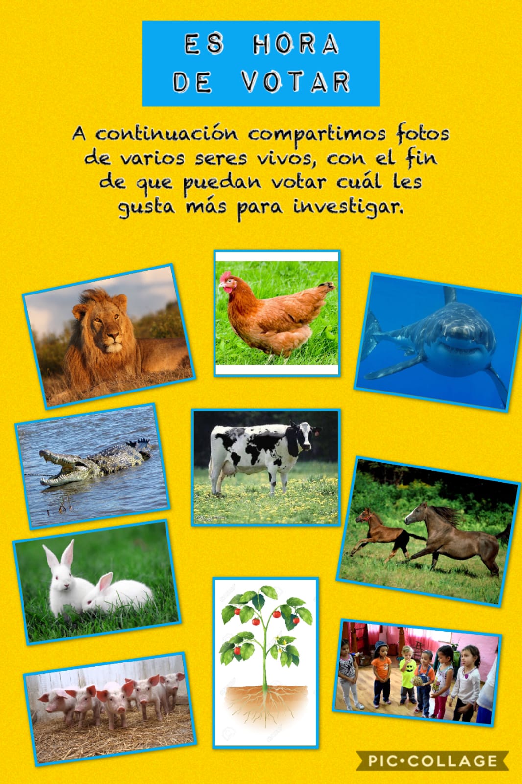 Nivel 4A : 1,2,3 ESTÁN LISTOS????