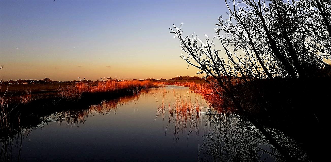 Dorpen en Steden van Nederland: Rohel (Friesland)