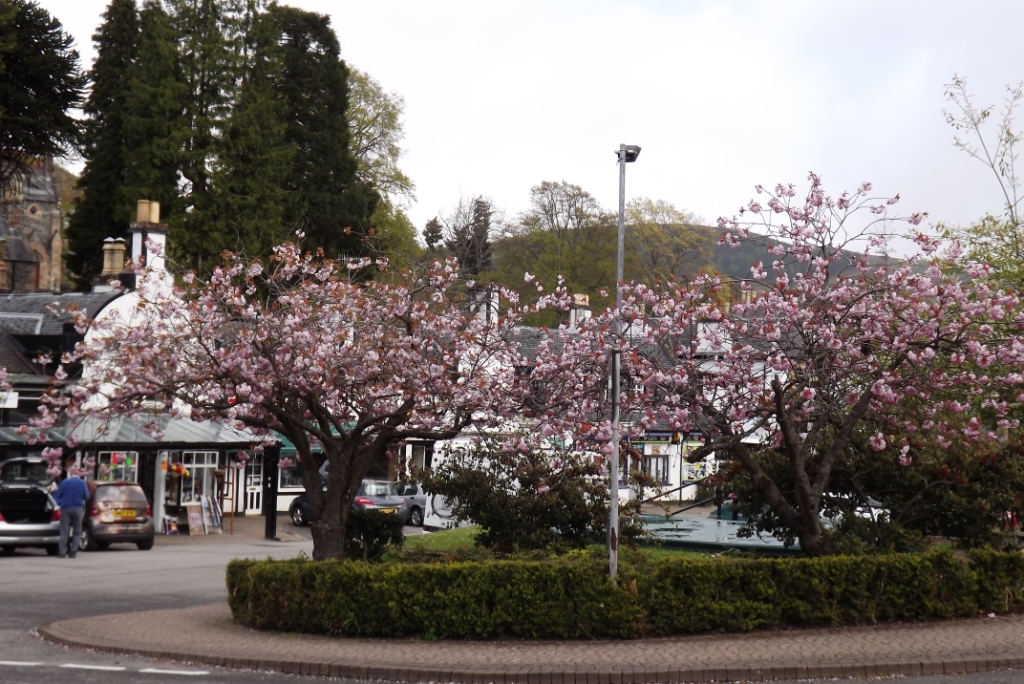 Waithe and wonder: Strathpeffer – Victorian Spa Town of the Scottish ...