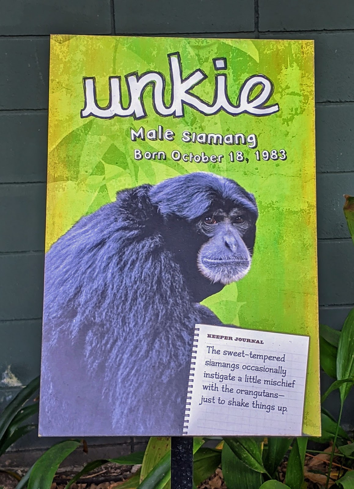 Around the World With Uncle Moose: 2019