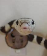 THE M CAVE STORY : THE UNEXPLAINED DISAPPEARANCE OF KENNY VEACH