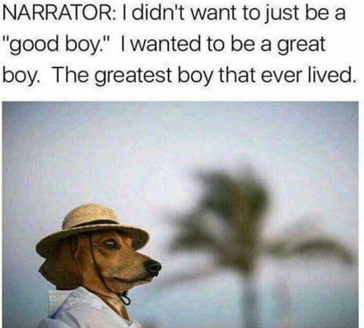 Randomly Choose Funny Memes of The Day (33 Pics) | 9GIG