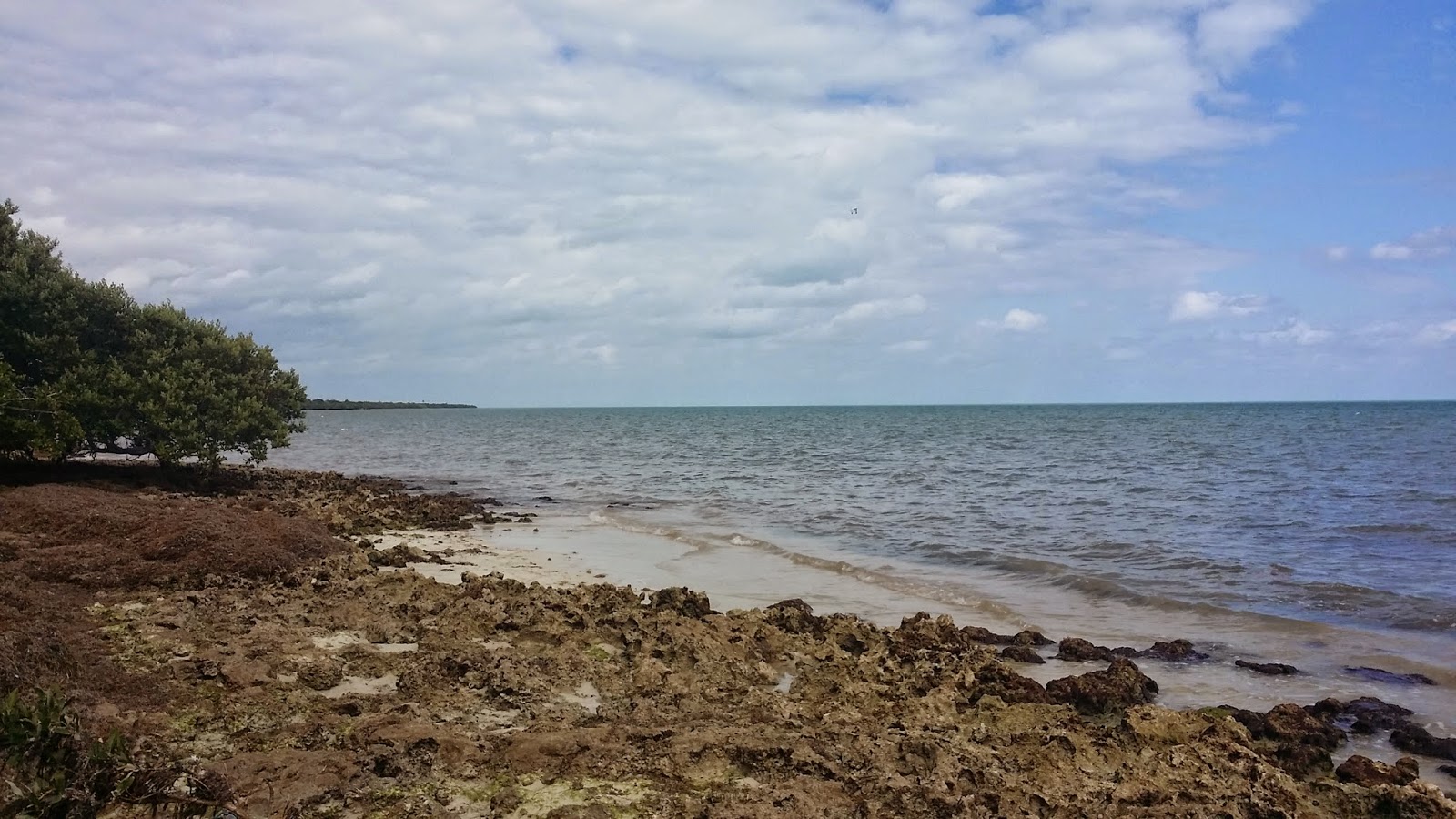 The Liveaboards' Log Book: Exploring Elliot Key