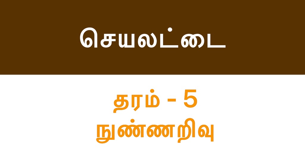 IQ Asgmt Exam Paper, Grade 5 - Set 2