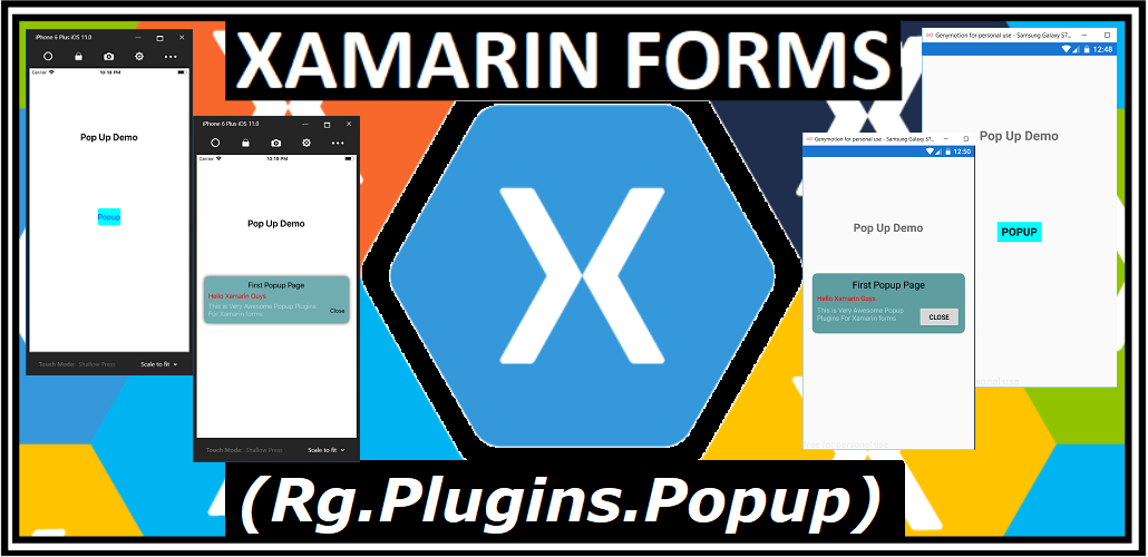 { Xamarin Buddy }: Popup in Xamarin.Forms